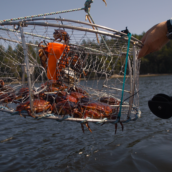 2500 Line Puller - Scotty Fishing